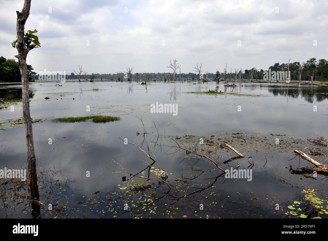 Unesco. Traditional. Temple. South. History. Siem Reap. World Heritage ...