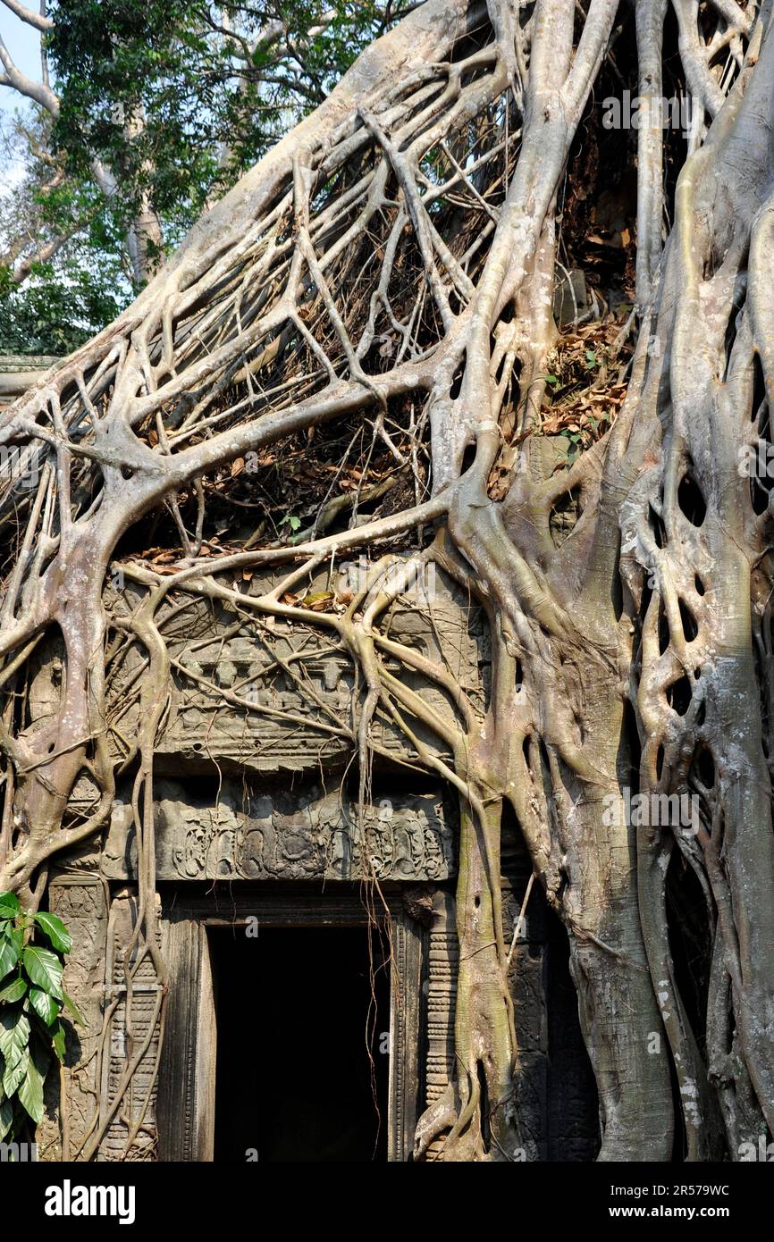 Asia. Day. East. Geography. History. Indochina. Indoors. Mekong. Nobody ...