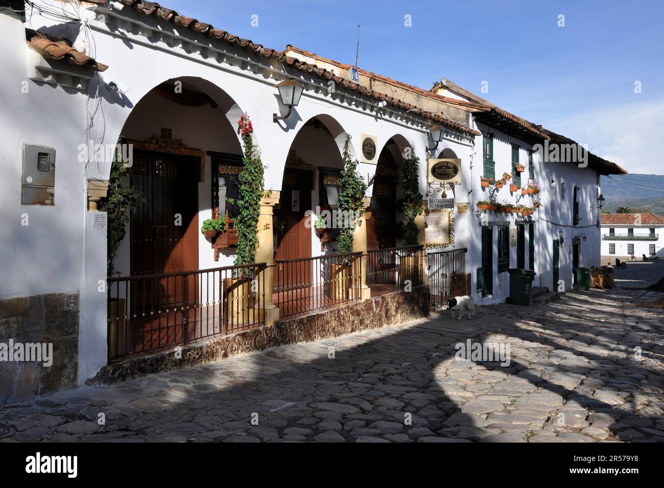 America. Andes. City. Colombia. Day. Geography. History. Latin. Nobody ...