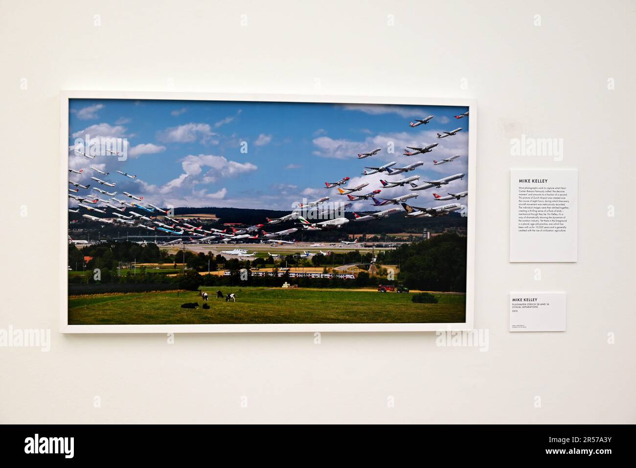 This June Saatchi Gallery will present Civilization : the Way We Live ...