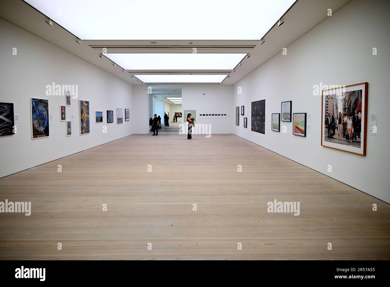 This June Saatchi Gallery will present Civilization : the Way We Live ...