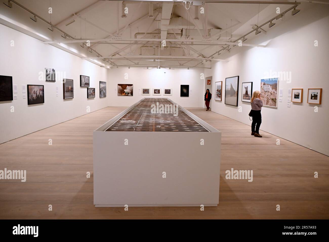 This June Saatchi Gallery will present Civilization : the Way We Live ...