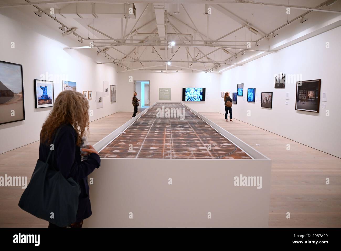 This June Saatchi Gallery will present Civilization : the Way We Live ...