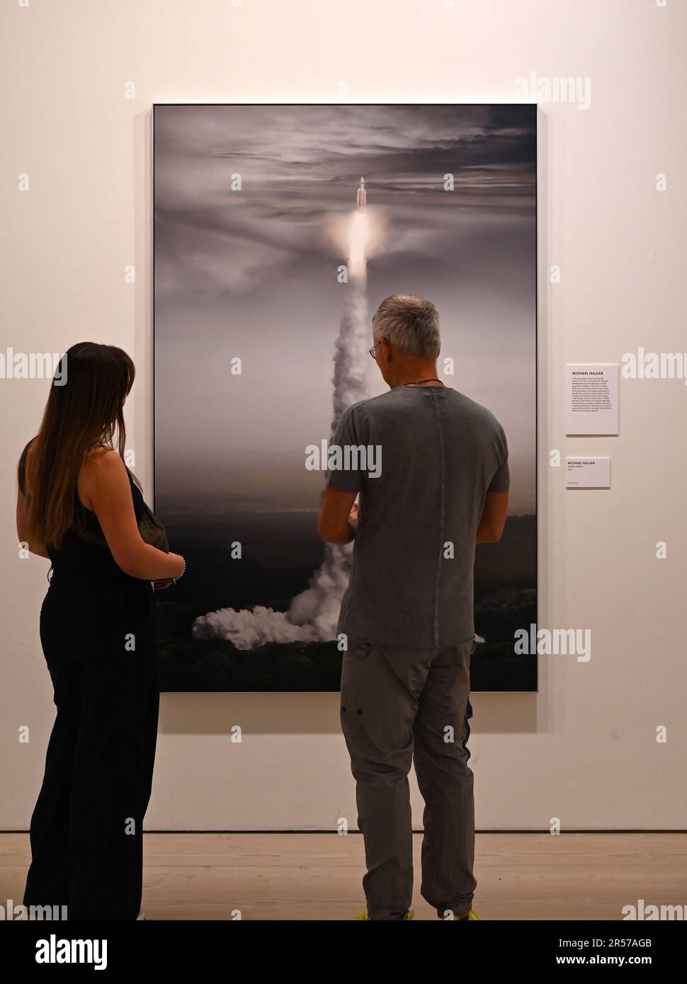 This June Saatchi Gallery will present Civilization : the Way We Live ...