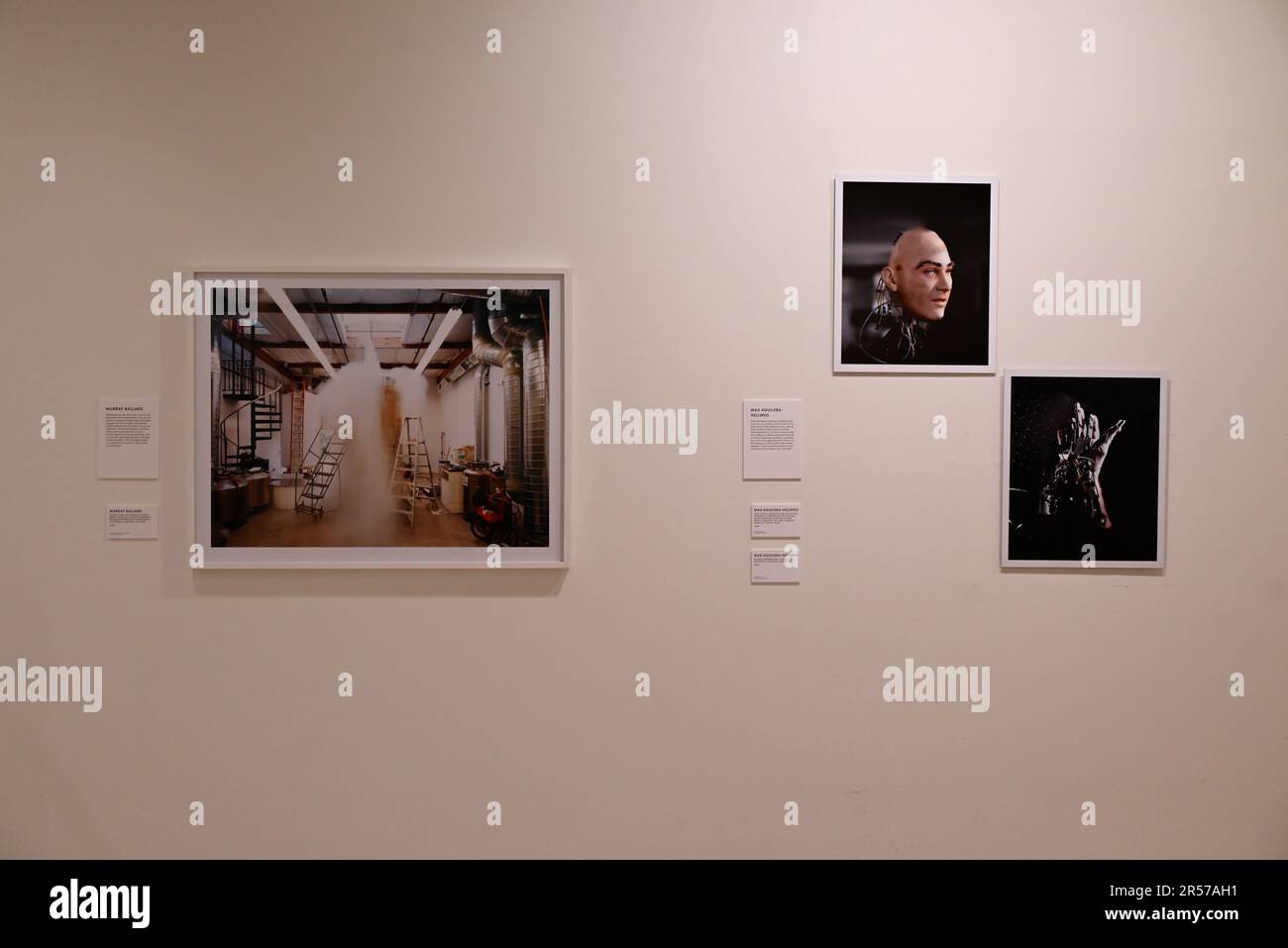 This June Saatchi Gallery will present Civilization : the Way We Live ...