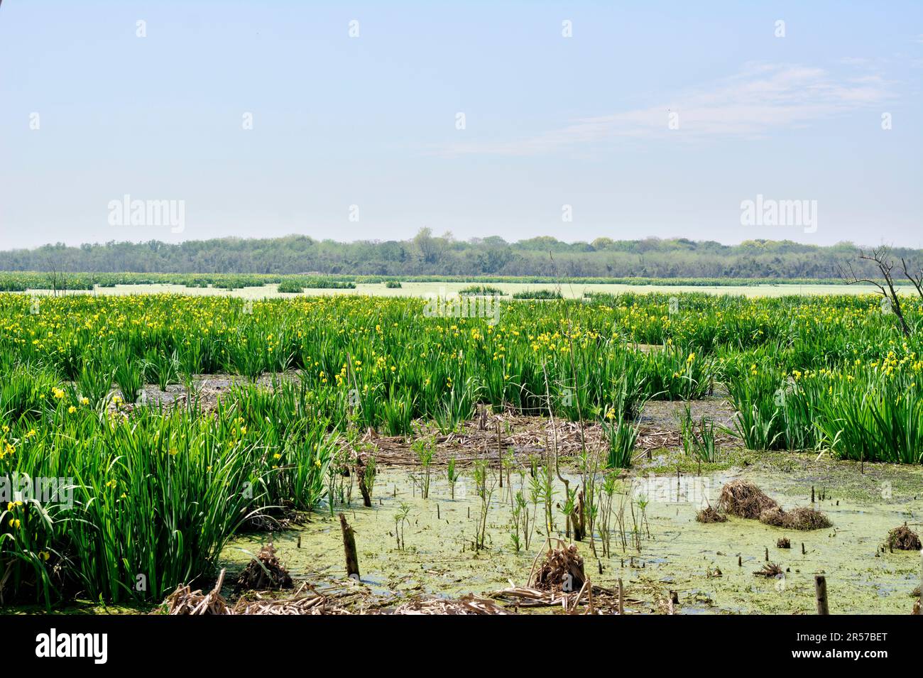 Lake Laguna de las Gaviotas in Buenas Aires, Argentina Stock Photo - Alamy