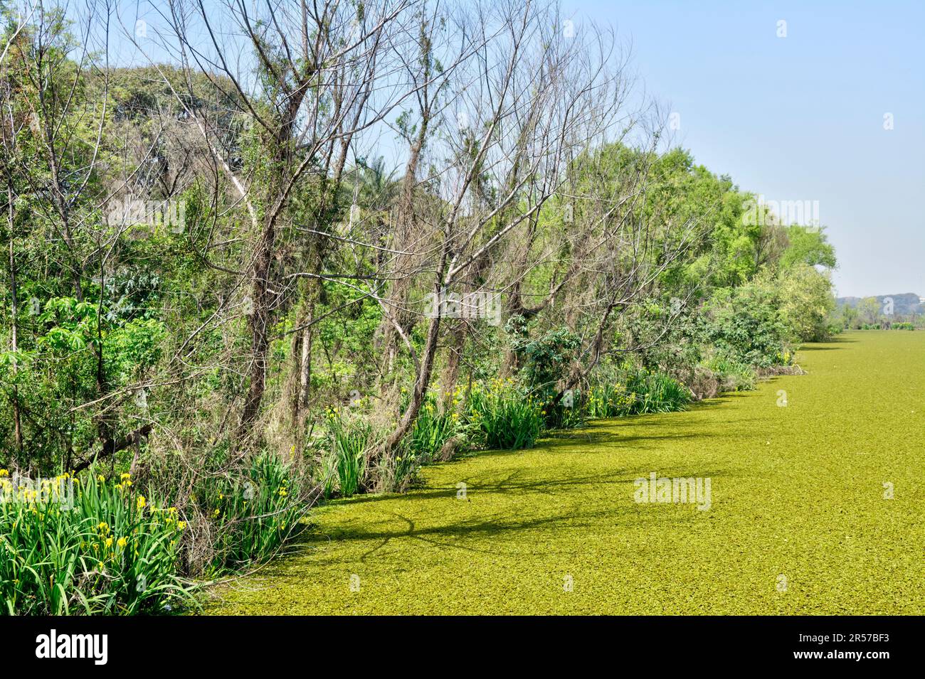 Lake Laguna de las Gaviotas in Buenas Aires, Argentina Stock Photo - Alamy