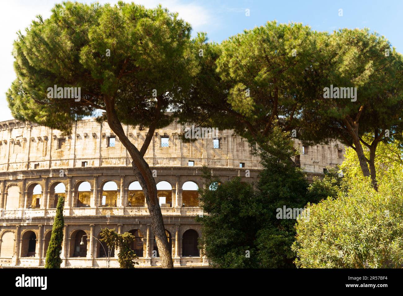 Colosseum famous and iconic ancient arena, Rome, Italy Stock Photo - Alamy