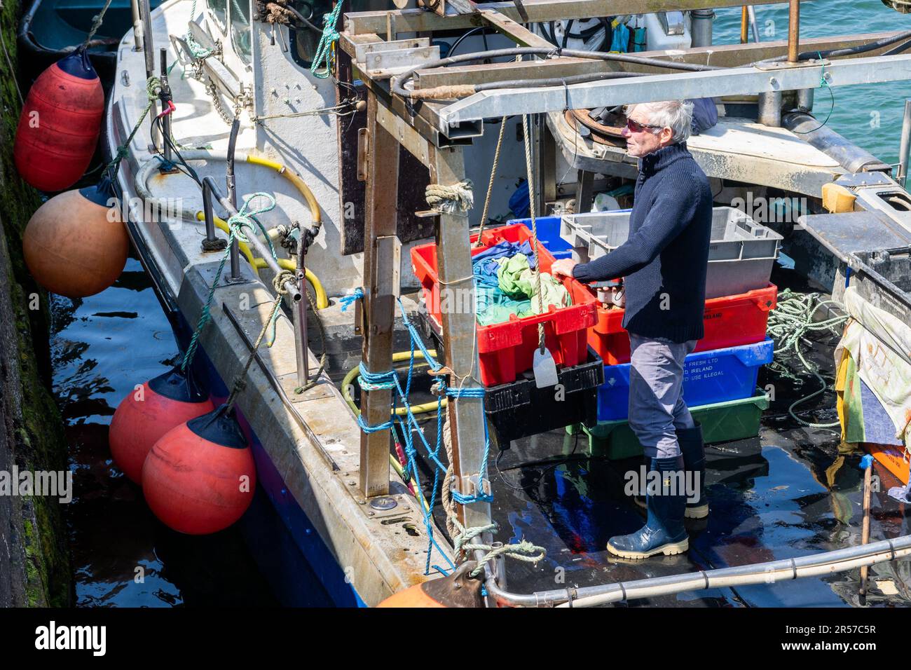 Schull, West Cork, Ireland. 1st June, 2023. The sun shone in the ...