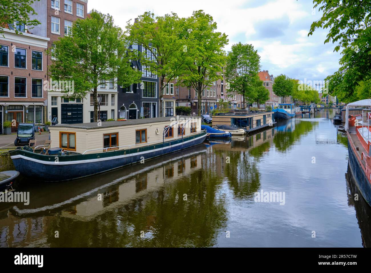 Canal houseboats under a canopy of trees lining the Amsterdam ...