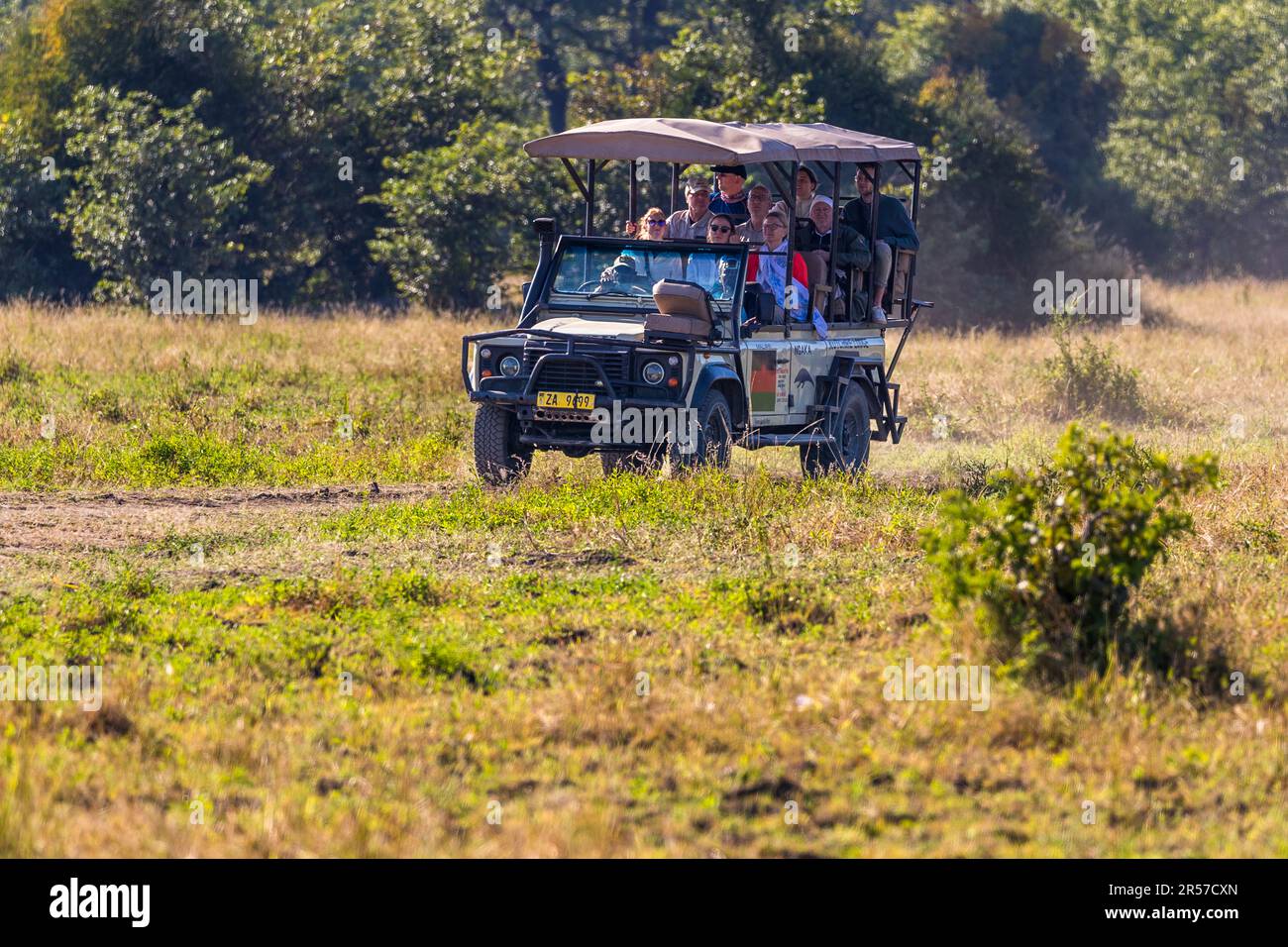 With guide in safari vehicle, Liwonde National Park, Malawi. Safari ...