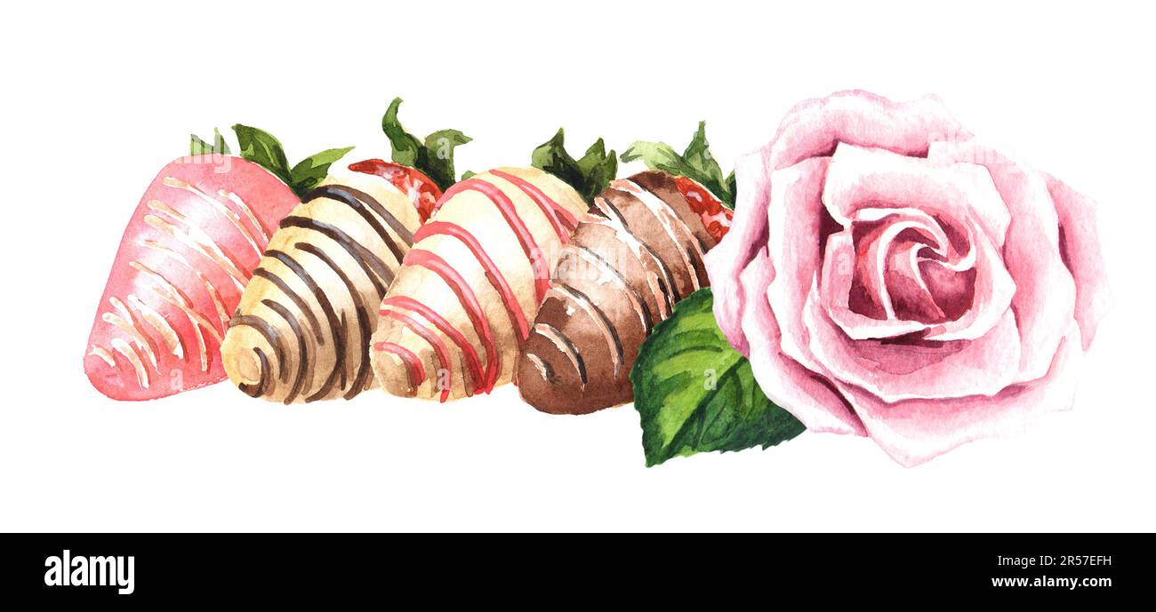 Rose flowers and Sweet strawberries in glaze dipped in white and milk ...