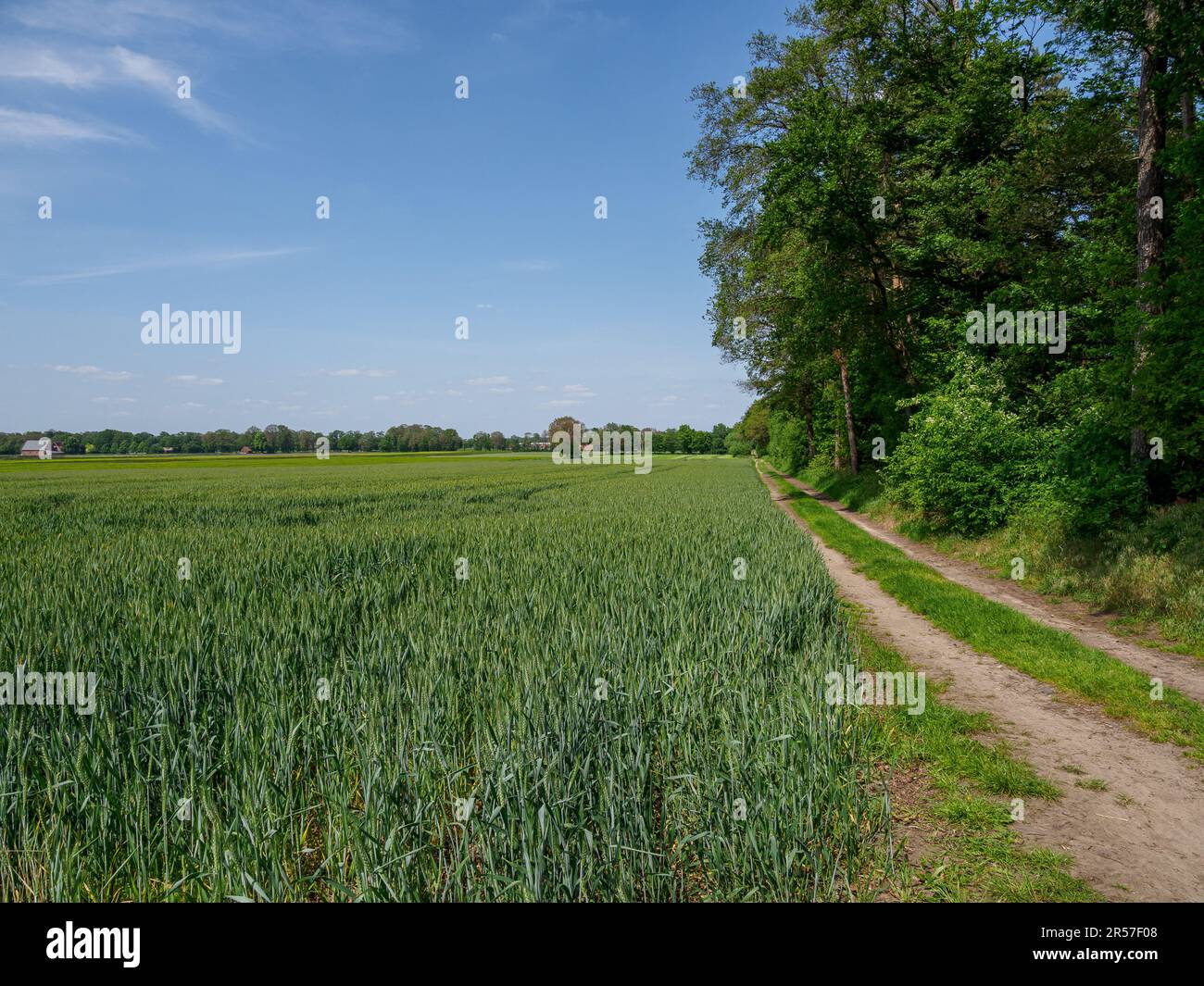 the small village of Burlo in westphalia Stock Photo - Alamy