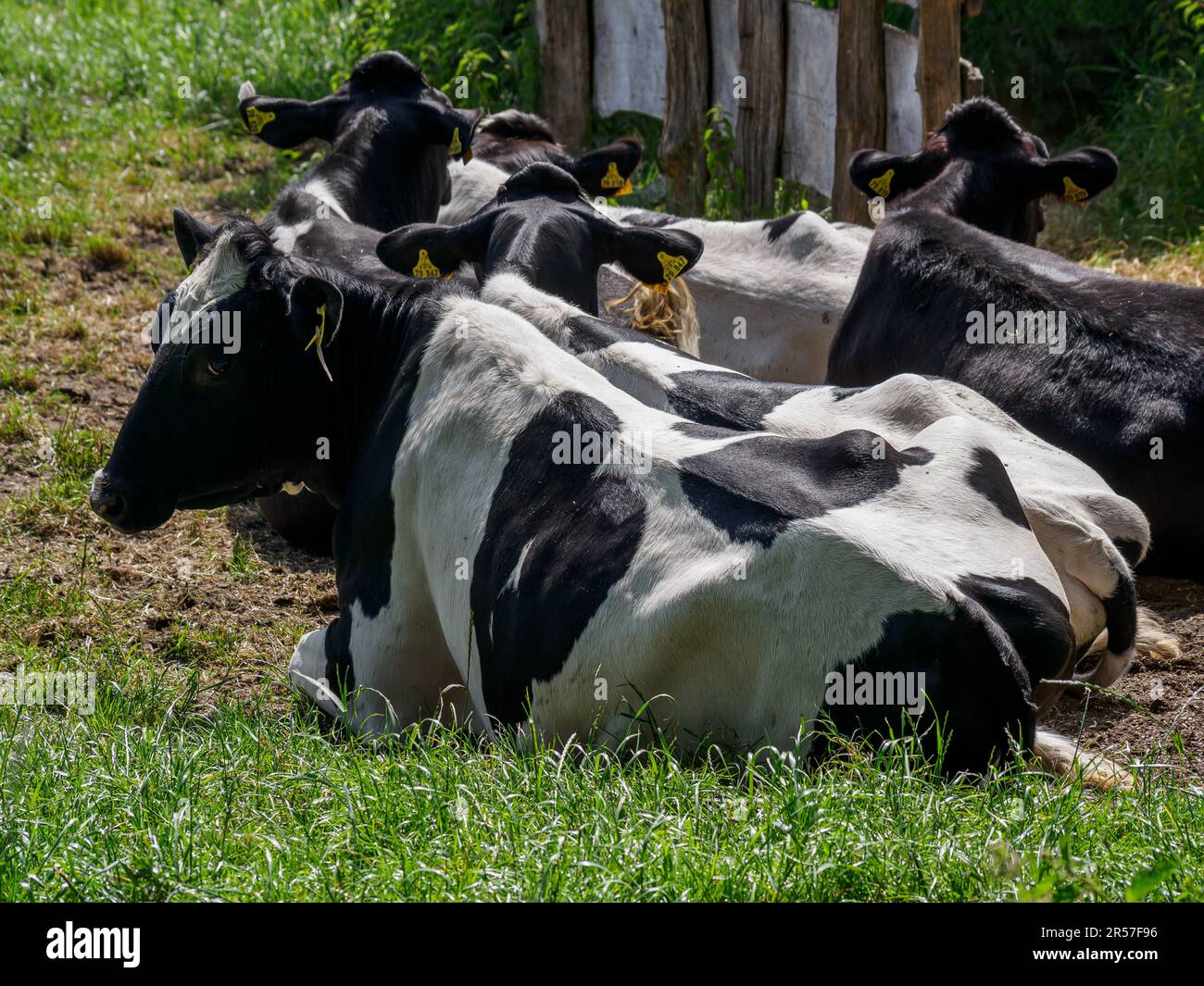 Convetn hi-res stock photography and images - Alamy