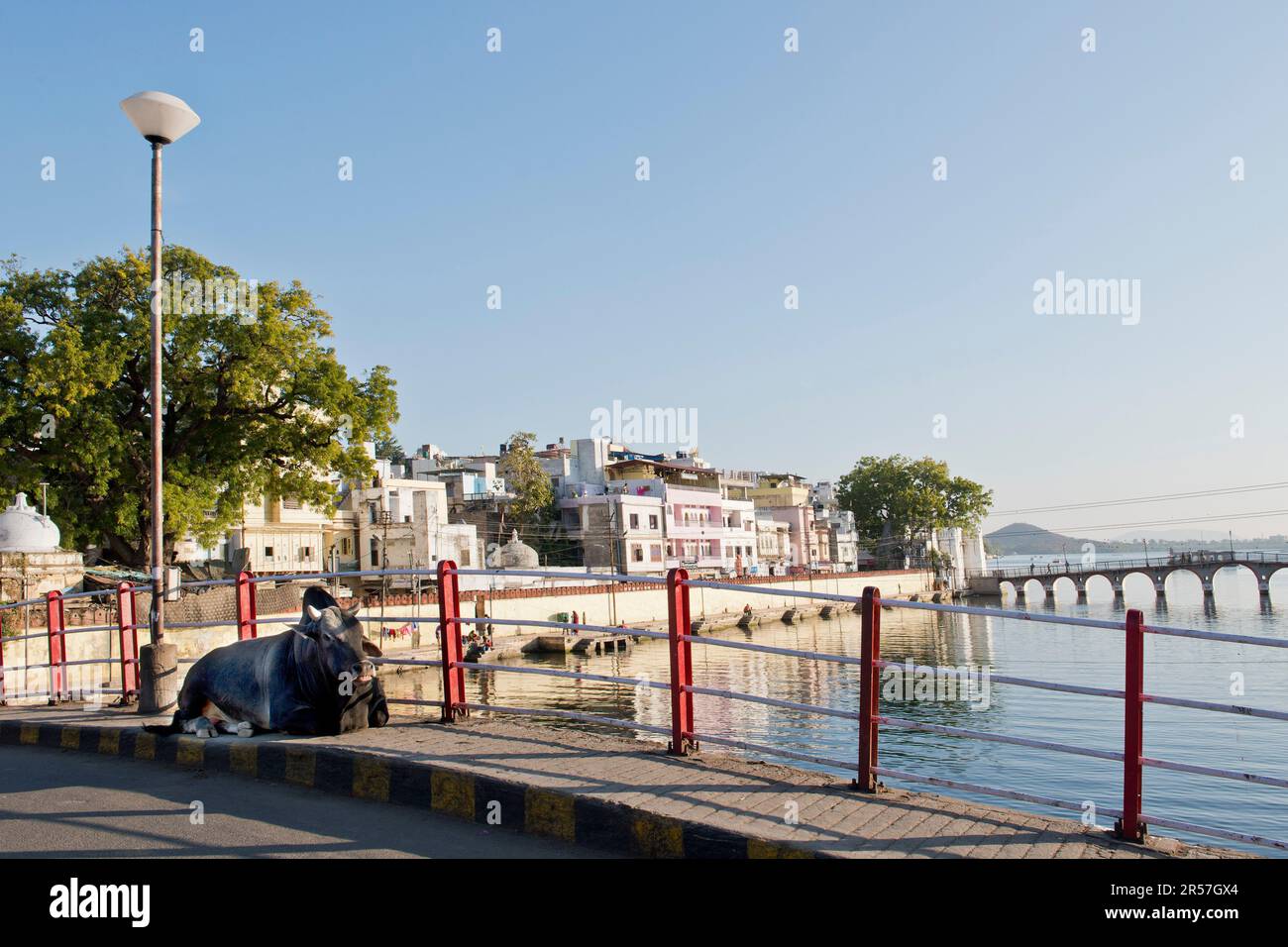 India. Rajasthan. Udaipur. landscape Stock Photo - Alamy