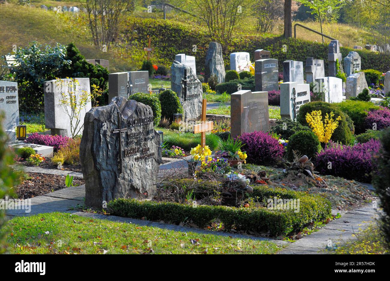 Graves in the forest hi-res stock photography and images - Alamy