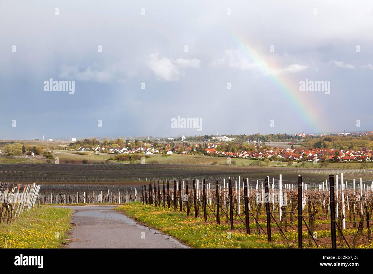 Rainy april hi-res stock photography and images - Alamy