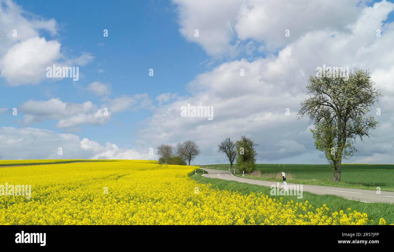 Country road in spring Stock Photo - Alamy