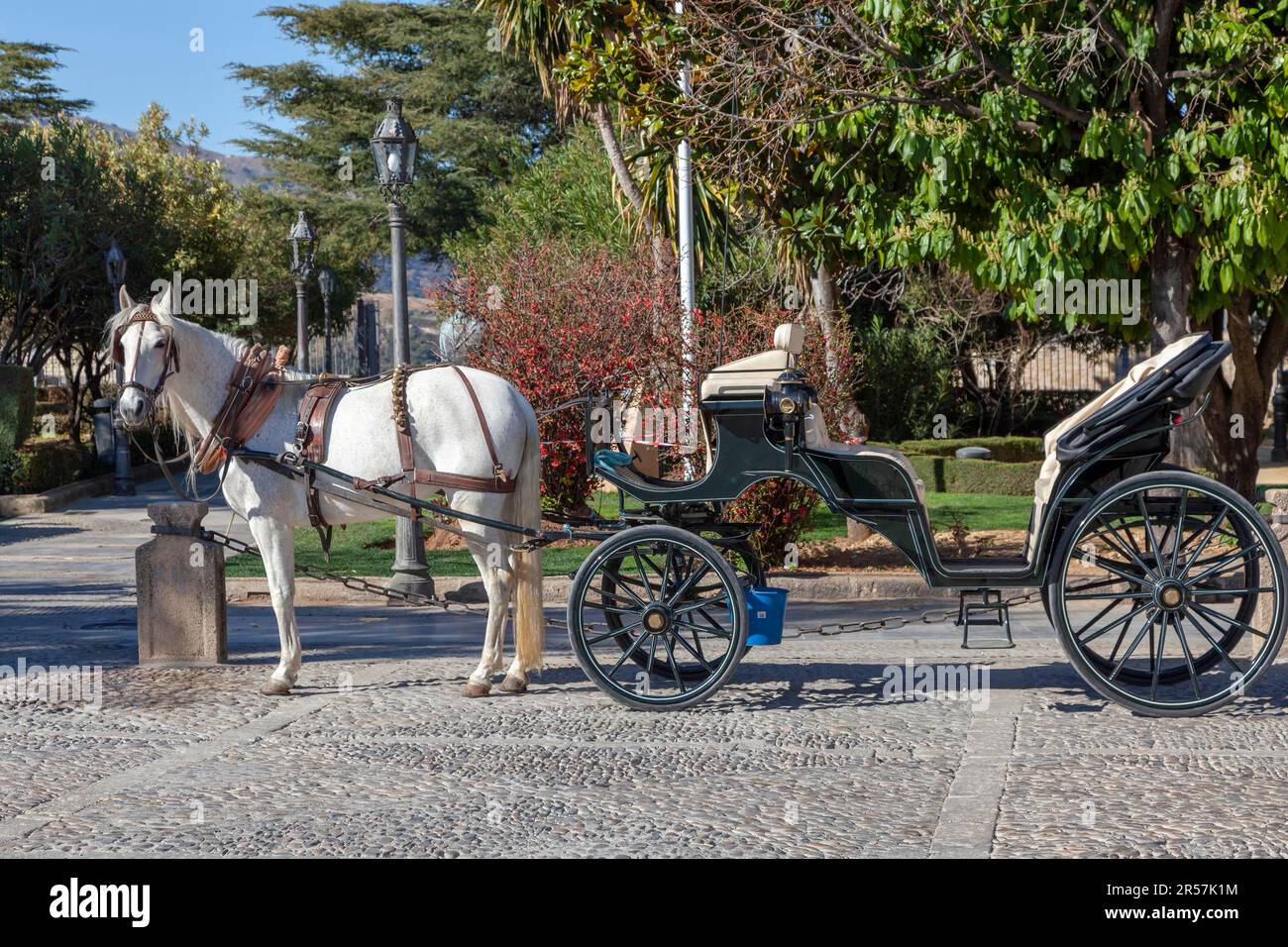 Hack carriage hi-res stock photography and images - Alamy