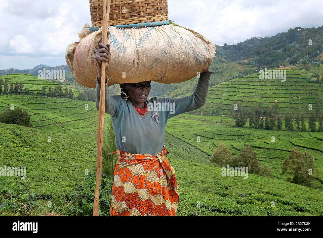 Rwanda. surrounding of Kibuye. peasants at work Stock Photo - Alamy