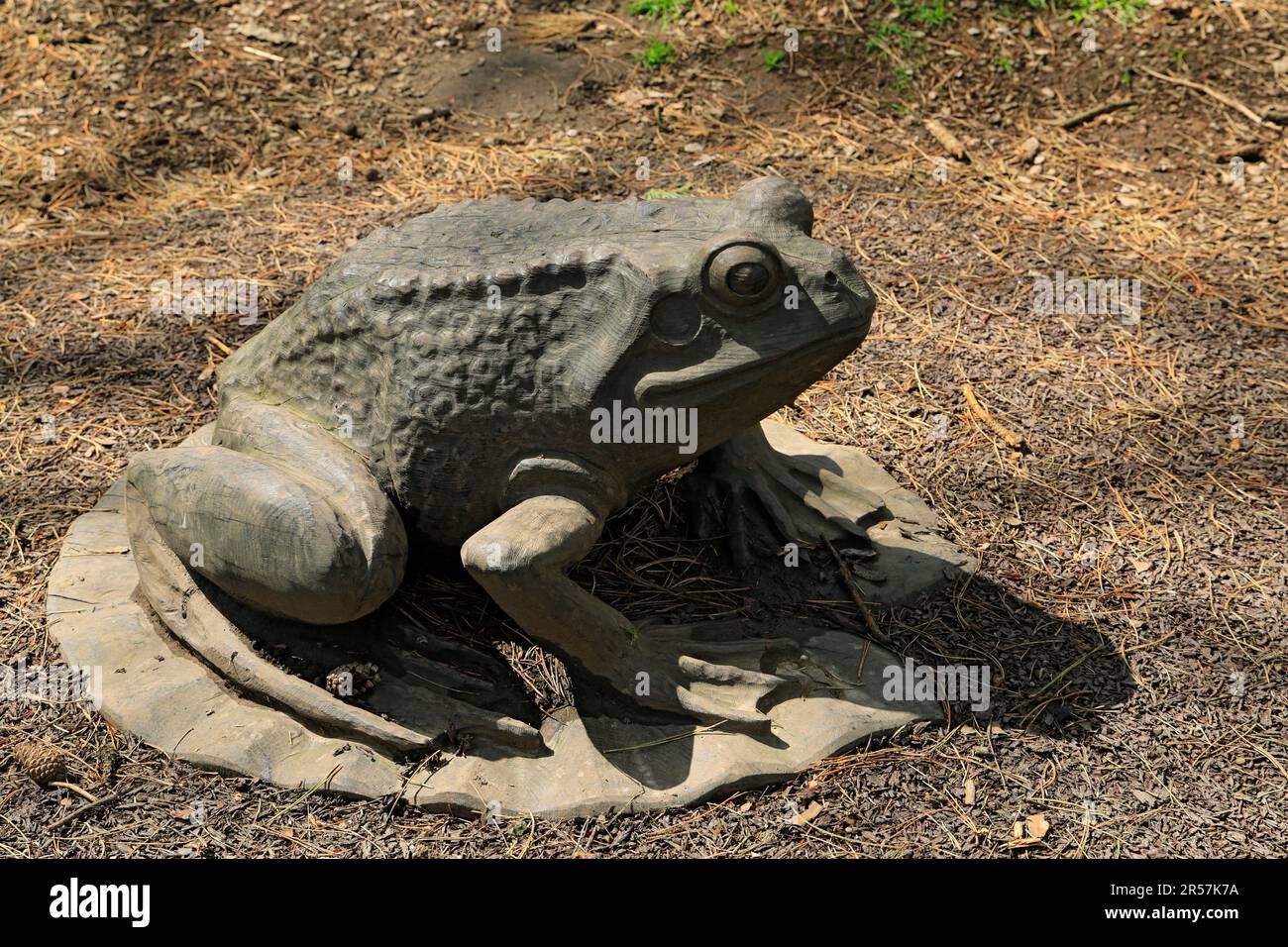 Giant wooden frog sculpture, the Arboretum, Bute Park, Cardiff Stock ...