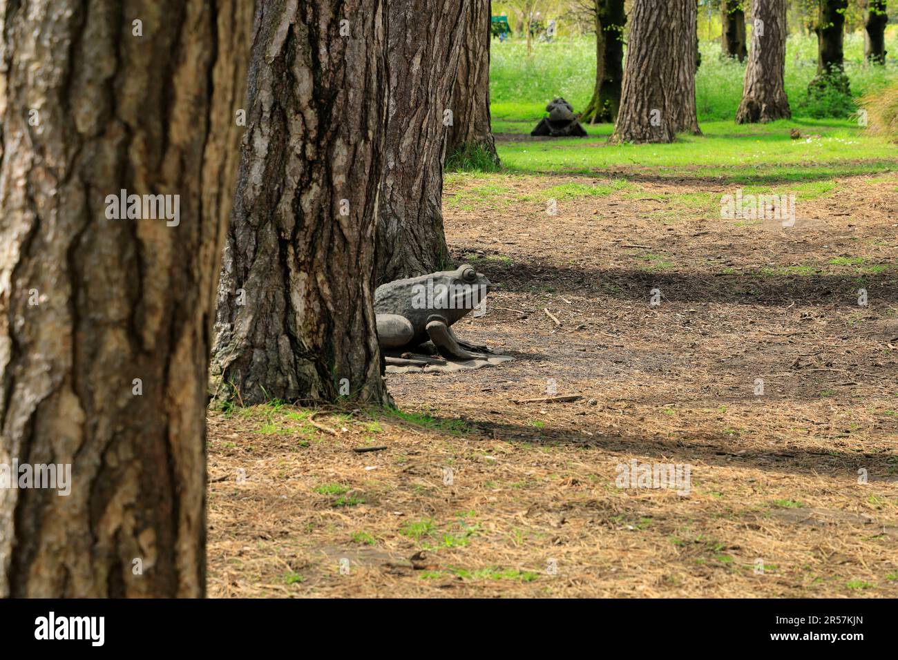 Giant wooden frog sculpture, the Arboretum, Bute Park, Cardiff Stock ...