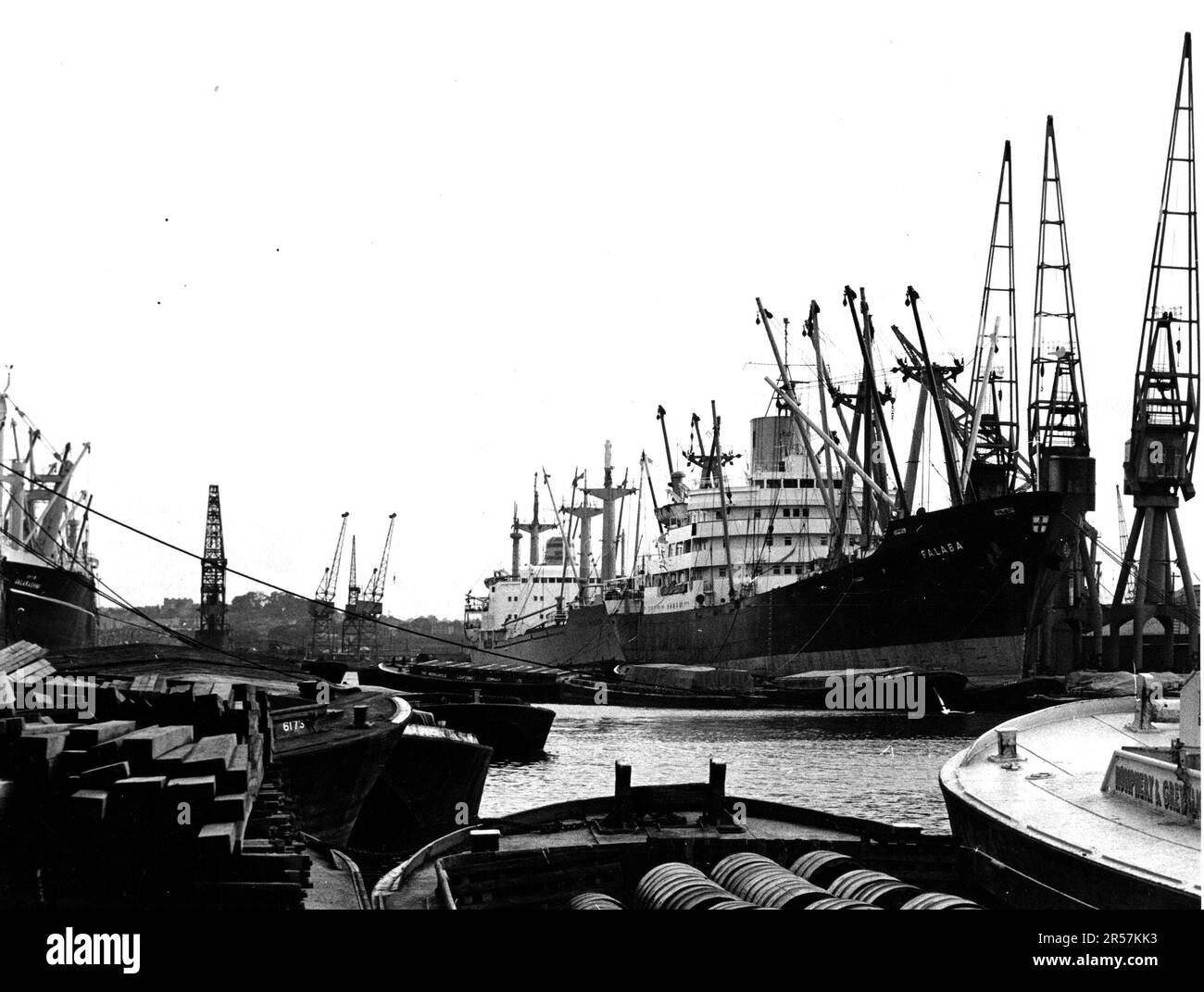 Mv jalarashi hi-res stock photography and images - Alamy