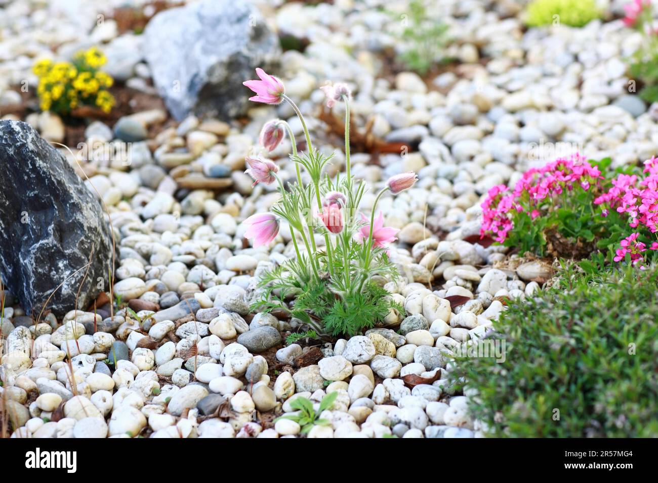 Rockery and gardener hi-res stock photography and images - Alamy