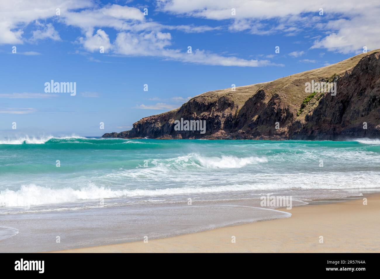 The pristine coastline at Sandfly Bay Stock Photo - Alamy