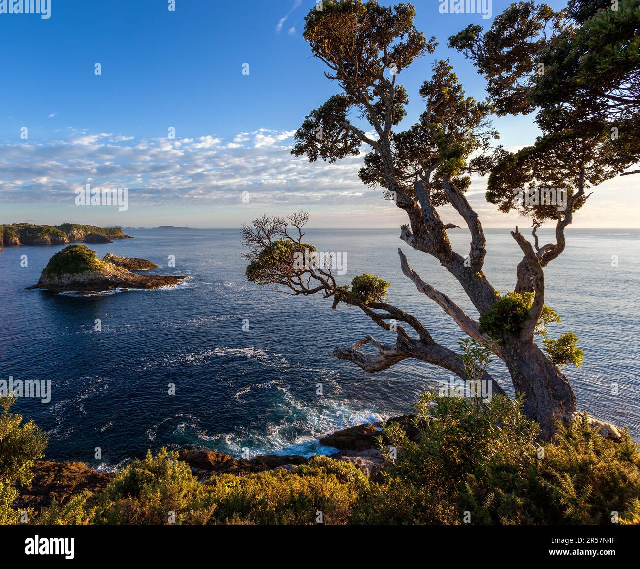 Sunrise at Te Pare Point Stock Photo - Alamy