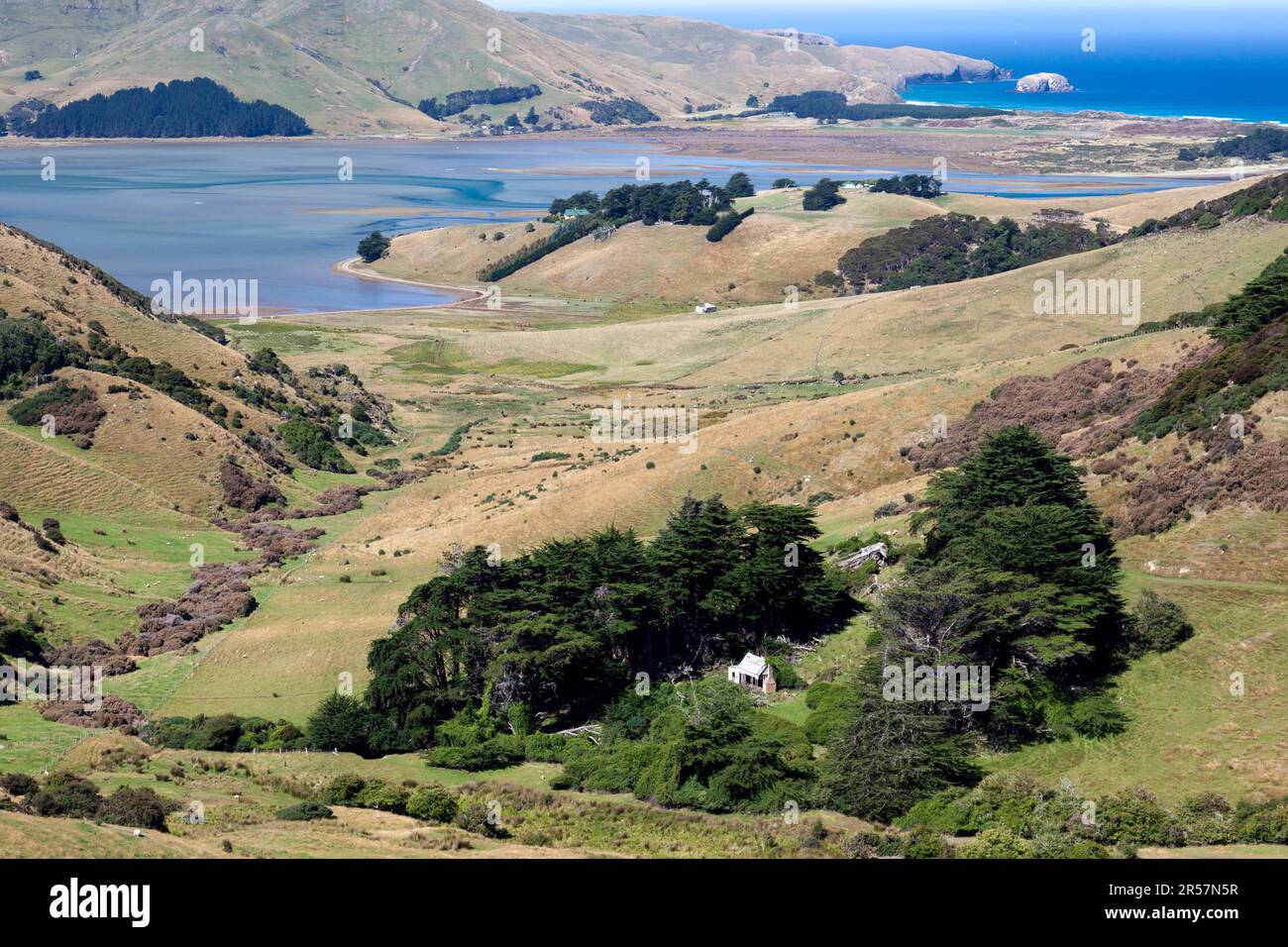 Green otago peninsula hi-res stock photography and images - Alamy