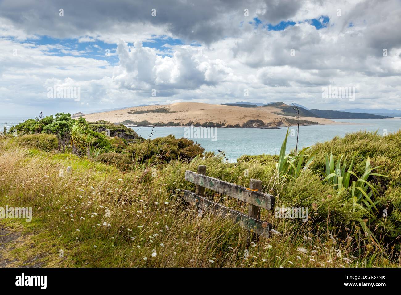 Coastal Walk near Arai-Te-Uru Recreation Reserve in Omapere in New ...