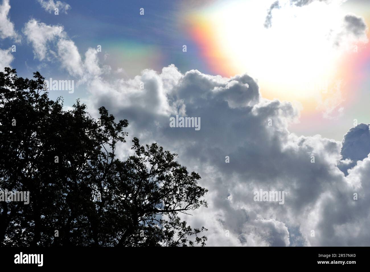 Okavango delta sky hi-res stock photography and images - Alamy