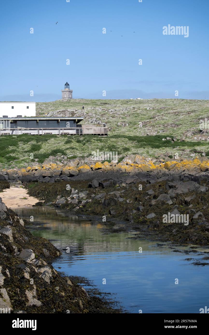 The beautiful nature reserve at the Scottish Isle of May Stock Photo ...
