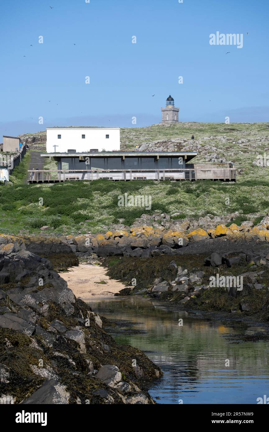 The beautiful nature reserve at the Scottish Isle of May Stock Photo ...