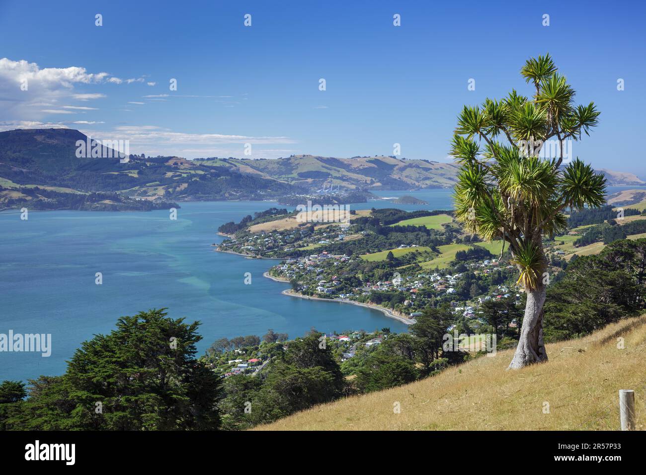 Dunedin house hi-res stock photography and images - Alamy