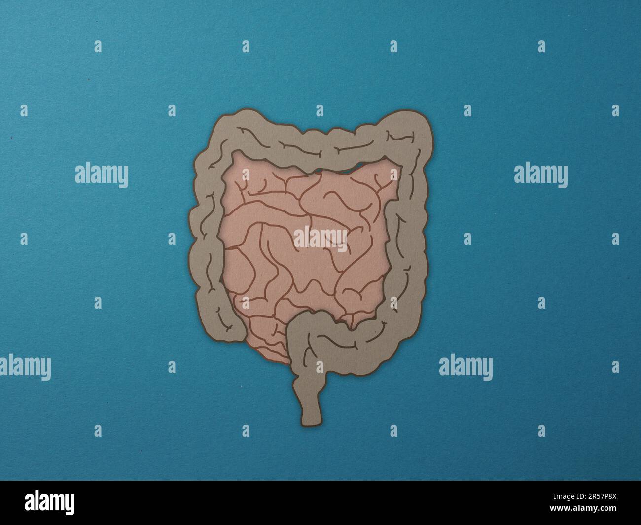 Intestinal tract as paper illustration on blue background, health care ...