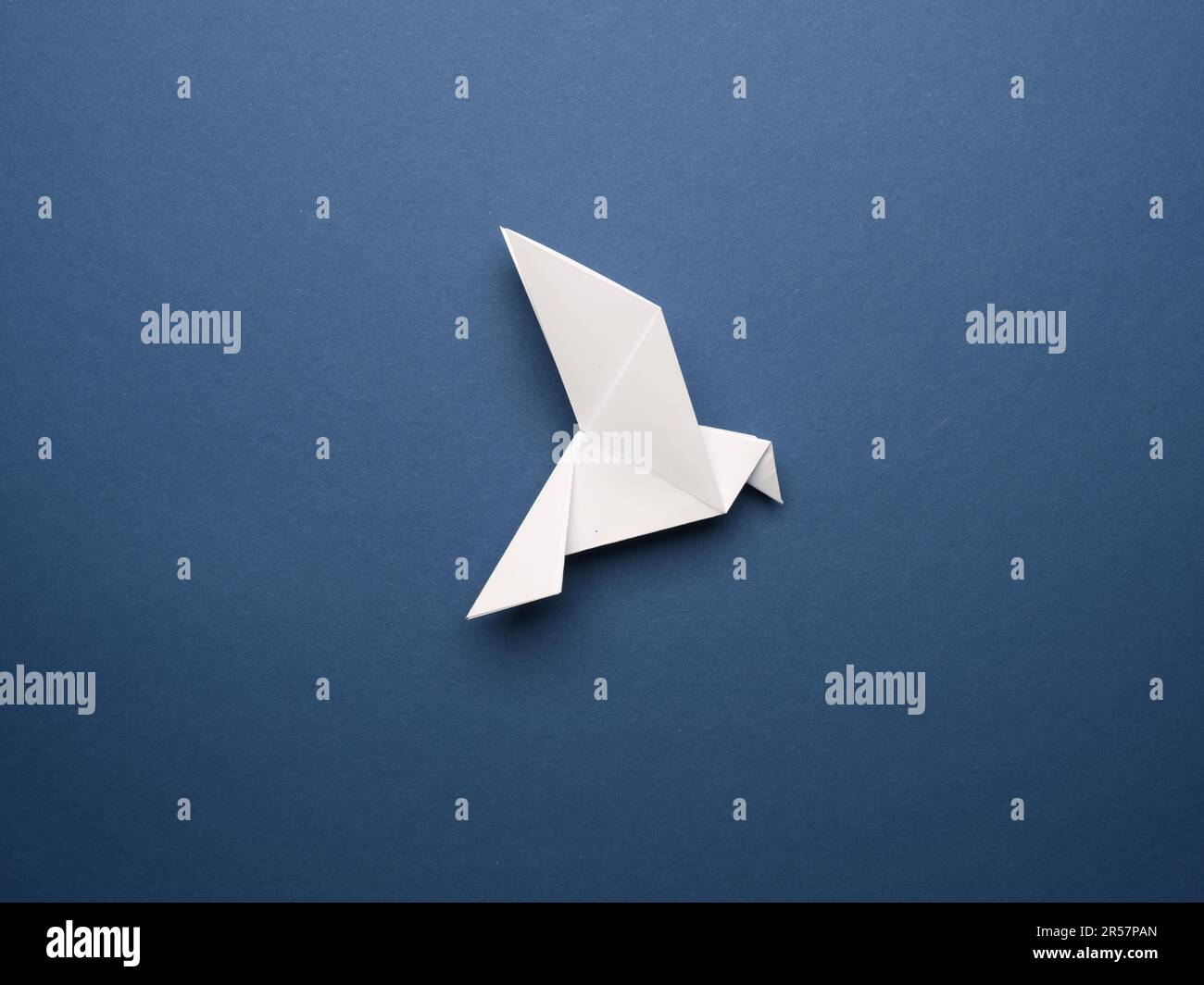 White origami pigeon on a blue paper background, peace or freedom ...