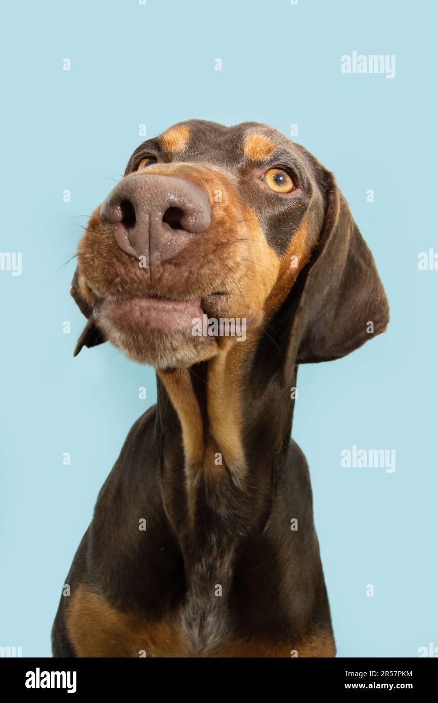 Disagree face expression hi-res stock photography and images - Alamy