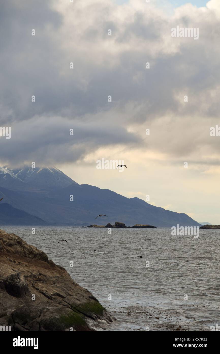 Navigation through the Beagle Channel. Land of Fire. Argentina Stock ...