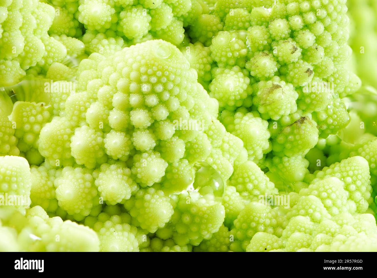 Green romanesco cauliflower hi-res stock photography and images - Alamy