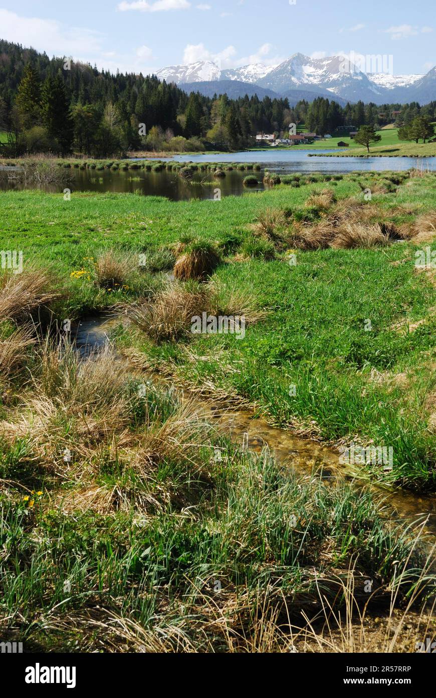 Southern german landscape with lake and mountains hi-res stock ...