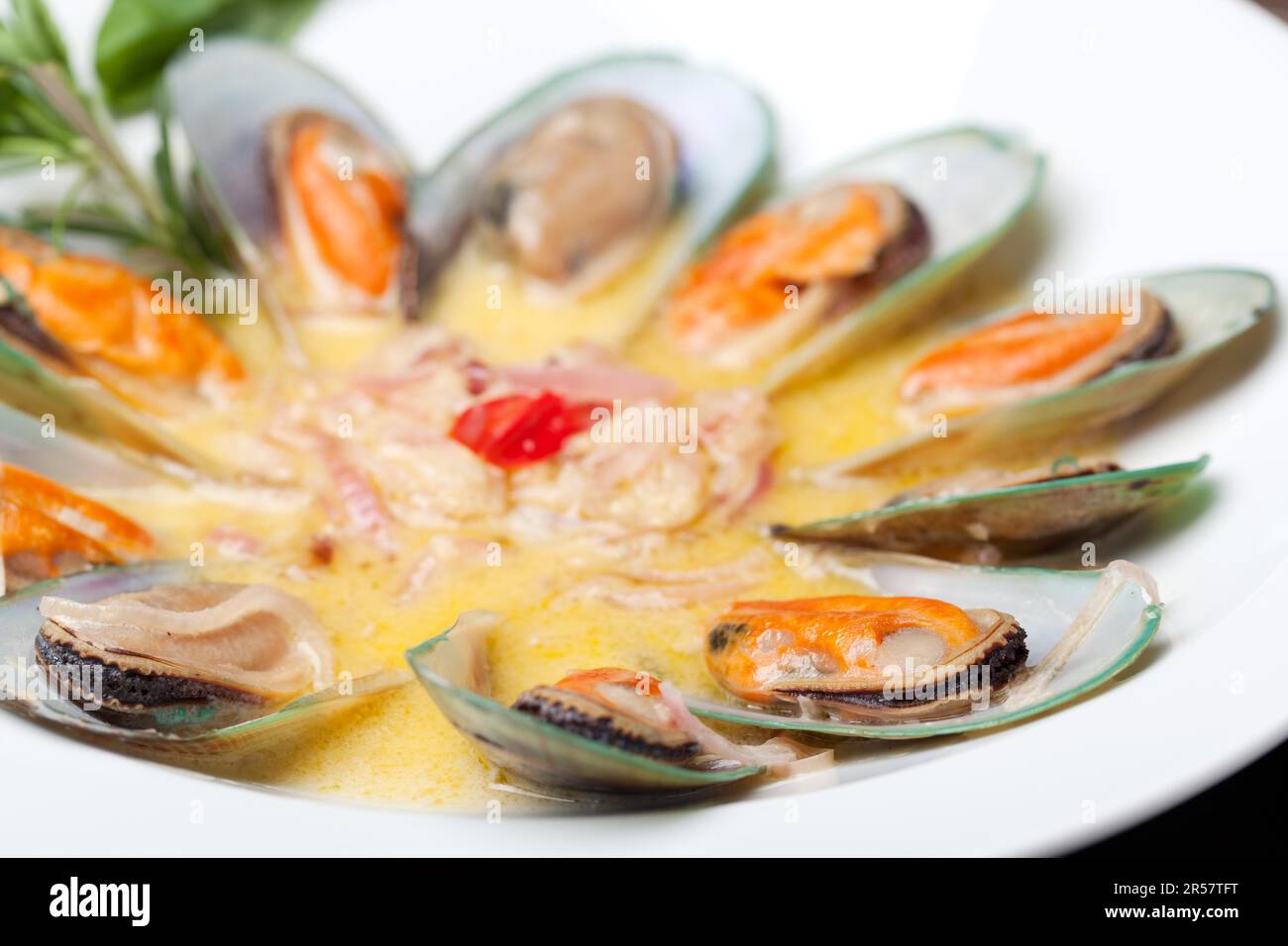 mussels cooked in white sauce Stock Photo - Alamy