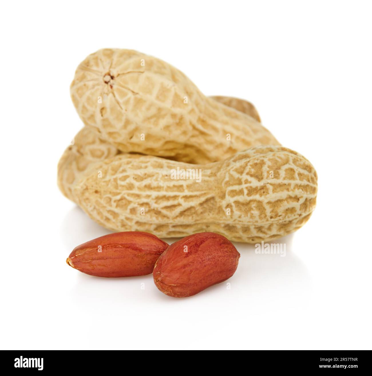 Peanuts pods withs seeds isolated on white background Stock Photo - Alamy