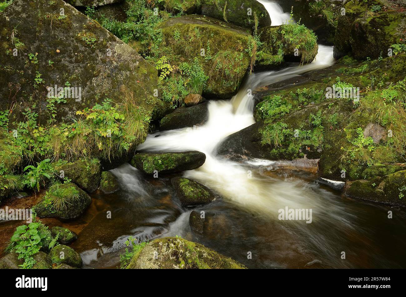 Triberg Waterfall in the Black Forest Stock Photo - Alamy