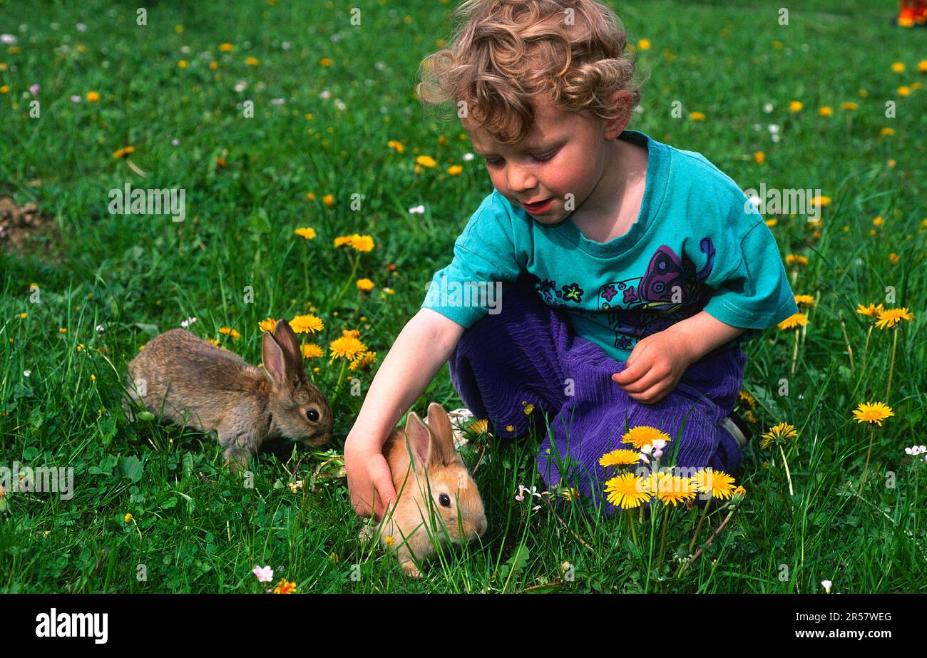 Child and rabbit hi-res stock photography and images - Alamy