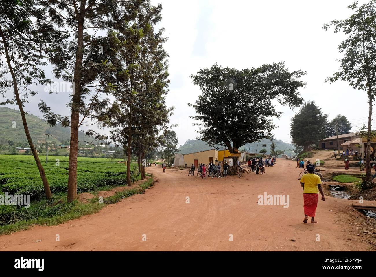 Rwanda. surrounding of Ruhengeri. daily life Stock Photo - Alamy