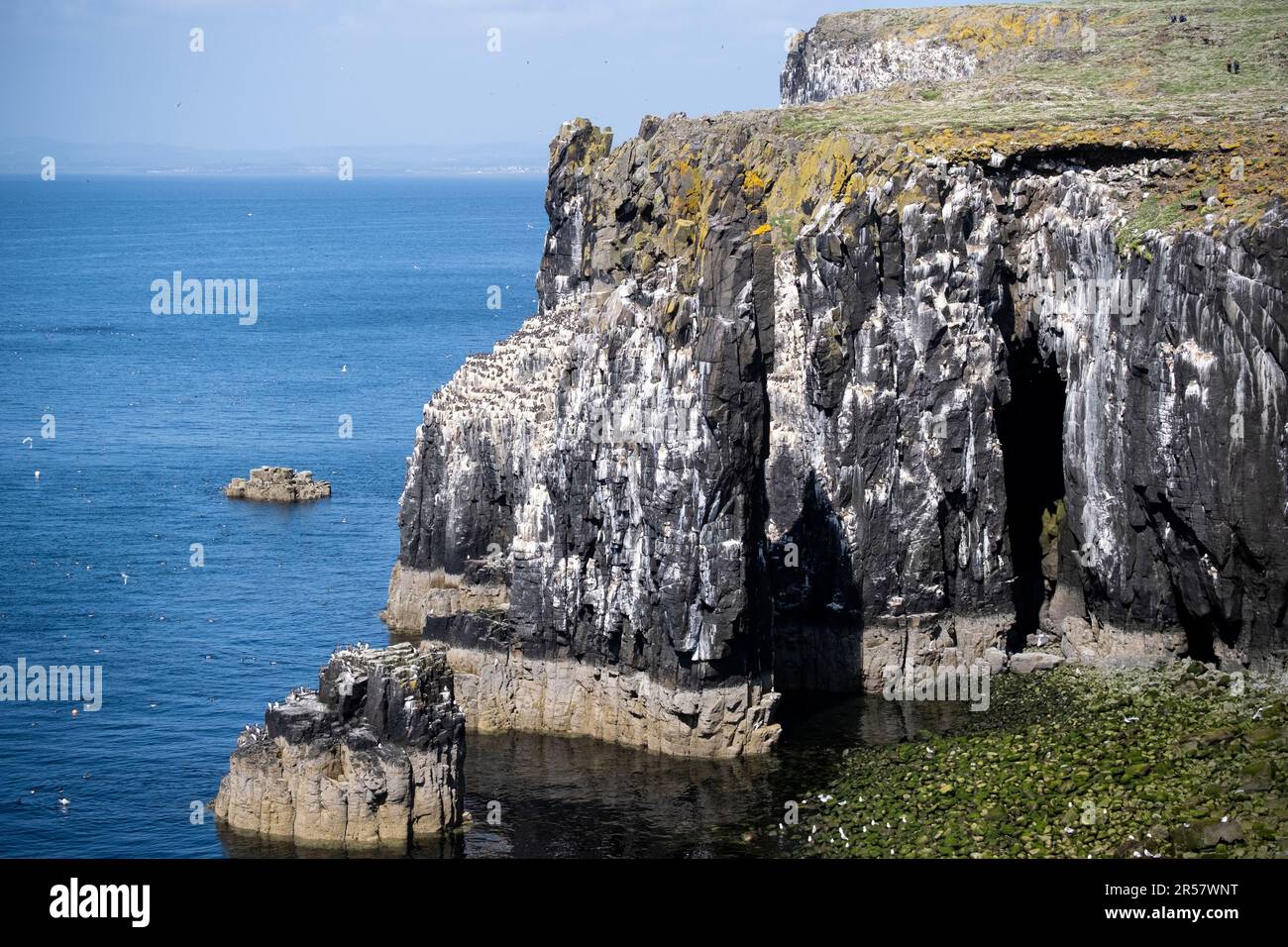 The beautiful nature reserve at the Scottish Isle of May Stock Photo ...