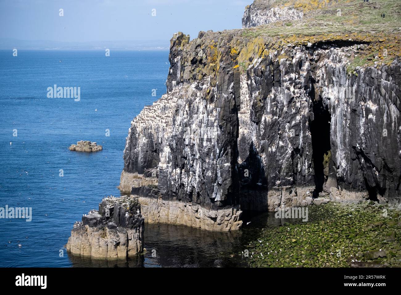 The beautiful nature reserve at the Scottish Isle of May Stock Photo ...