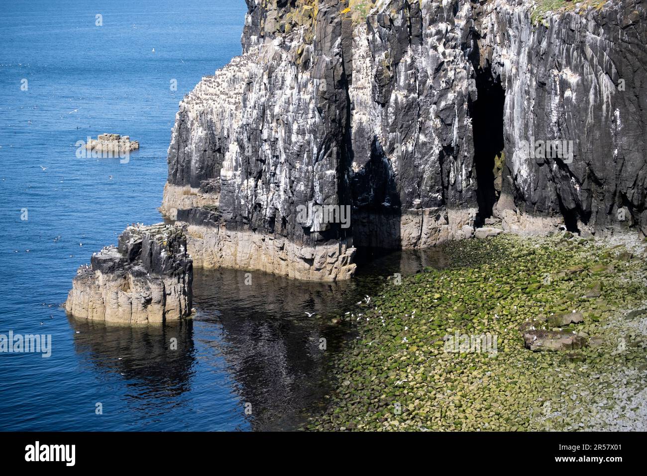 The beautiful nature reserve at the Scottish Isle of May Stock Photo ...